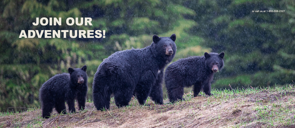 Join our Adventures - Whistler Photo Safaris